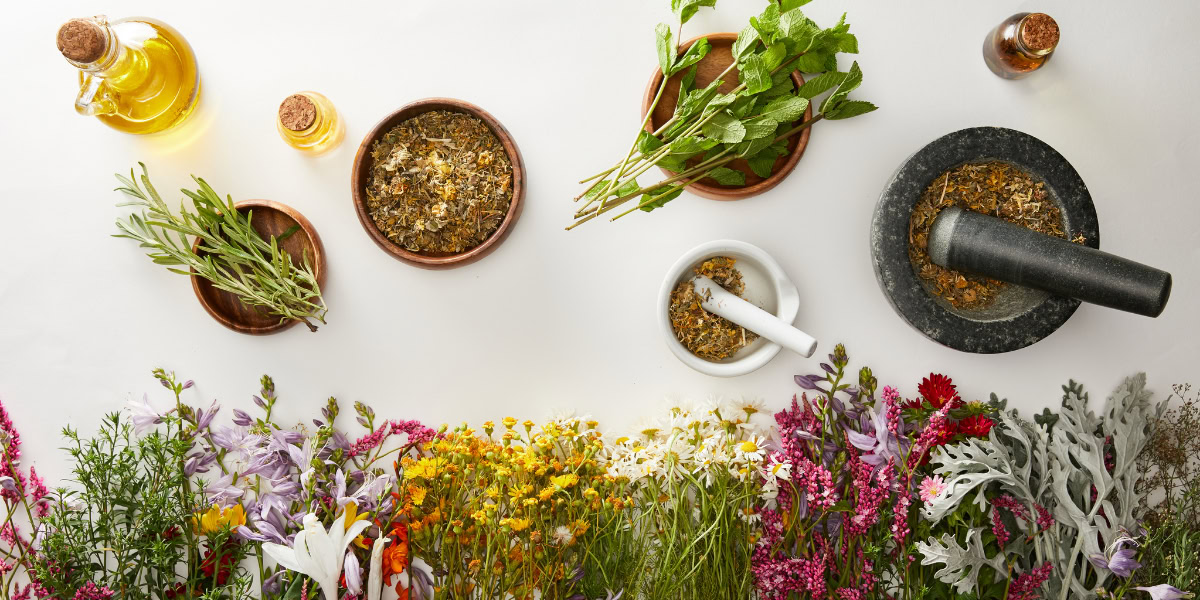 The History of Olive Oil in Ancient Medicine and Rituals - The Olive Bar